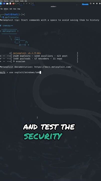Metasploit The Ultimate Exploit Framework Hacker Metasploit