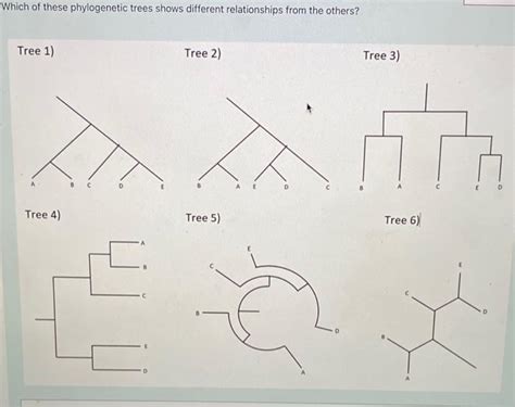 Solved Which Of These Phylogenetic Trees Shows Different