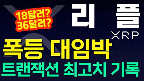 리플 Xrp 일일 트랜잭션수 최고치 기록했다 데이터에 의하면 폭등 대임박 18달러일까 36달러일까 Youtube