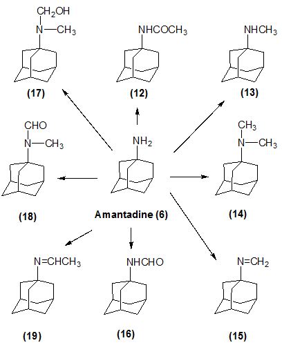 Chemical Structures Of Amantadine And Amantadine Metabolites Download