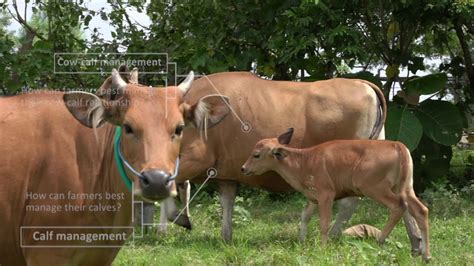 Series Introduction Youtube