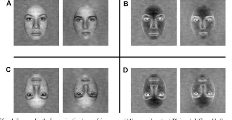 Figure 3 From The Effects Of Face Inversion And Contrast Reversal On