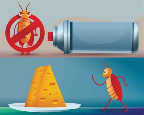 Cockroach Prevention Vector Art Icons And Graphics For Free Download