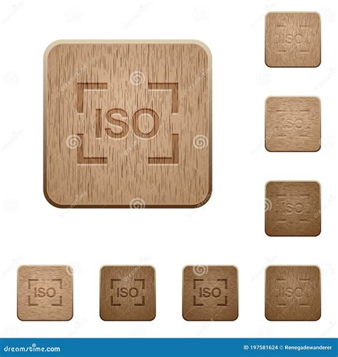 Camera Iso Speed Setting Wooden Buttons Stock Vector Illustration Of Wood Lens 197581624