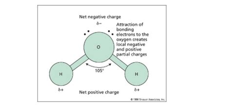 Topic 2 Flashcards Quizlet