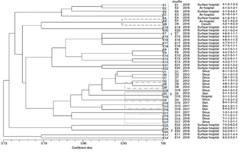 Upgma Dendogram Based On The Dice Similarity Coefficient Upon Analysis