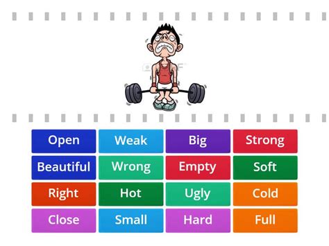 Basic Adjectives Find The Match