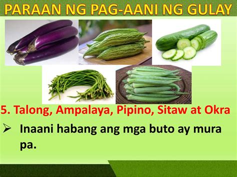 Q2 Epp Kahalagahan Sa Pag Aani Ng Halaman Pptx