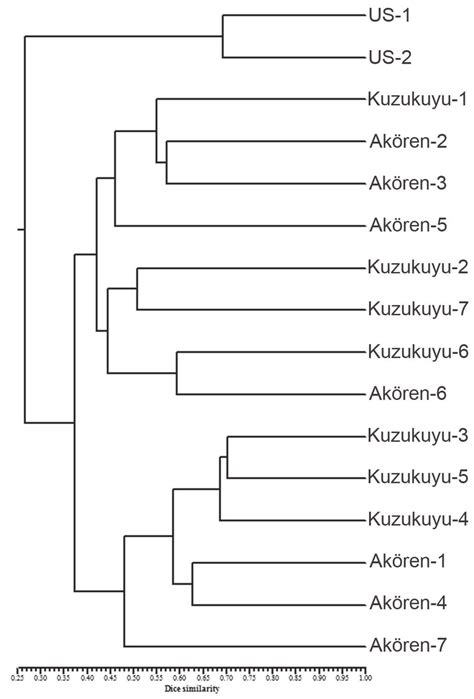 The Upgma Dendrogram Demonstrating Genetic Relationships Based On The