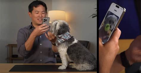 Chatgpts Advanced Voice Mode Set To Gain Visual Capabilities Soon Moyens I O