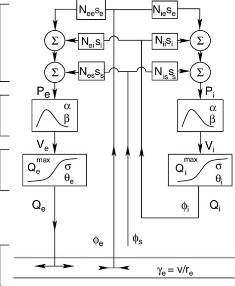 Mathematical Summary Of The Biophysical Model This Schematic Shows The Download Scientific