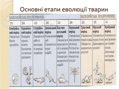 Презентація Еволюція ссавців