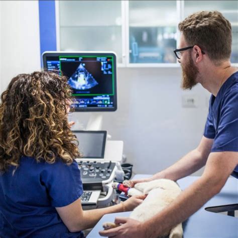 Abdominal Ultrasonographic Findings Of Cats With Feline Infectious Peritonitis An Update