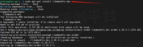 Wi Sun入门指导6：配置wsbrd和rcp的串口使用cpcd进行通信
