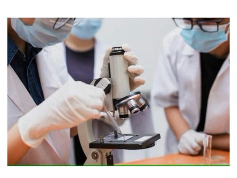 Solution Introduction To Hypothesis Testing And Hypothesis Testing About One Population Mean Z