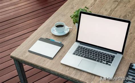 Sap清账使用反记账 Sap软件的部分清账与剩余清账 Csdn博客