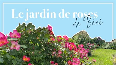 Beau Jardin De Fleurs Et De Roses