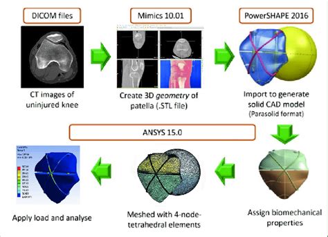 Flowchart Of Finite Element Modelling Download Scientific Diagram