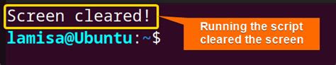 How To Clear Screen Using Bash Script 2 Effective Methods LinuxSimply