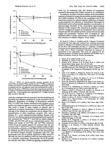 Identification Of A Functionally Important Sequence In The Cytoplasmic
