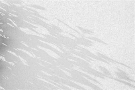 표면 흰색 벽 배경 텍스처에 그림자 잎의 추상 흑백 색상 톤 0명에 대한 스톡 사진 및 기타 이미지 0명 가까운 검은색 Istock