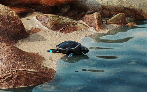 Robotic Sea Turtle Could Soon Be Swimming In An Ocean Near You