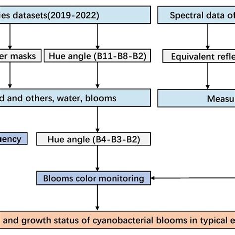 The Analysis Flowchart Comprises An Input Dataset Remote Sensing Data