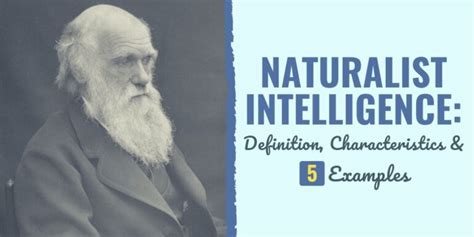 Naturalist Intelligence Definition Characteristics And 5 Examples