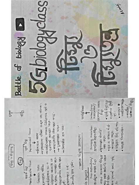 chapter 08 v2 pdf