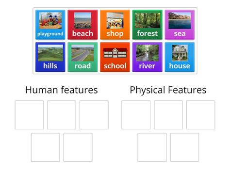 Year 1 Sorting Basic Human And Physical Group Sort