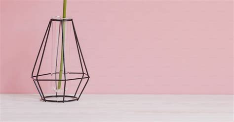 테이블에 꽃병에 식물 사진 Unsplash의 몬스 테라 이미지