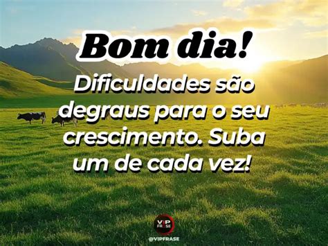 Mensagem De Bom Dia Motivacional Frases Top Para Conquistar