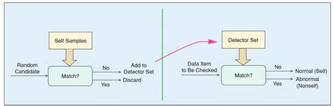 The Basic Negative Selection Algorithm Nsa [4] In Similar To Any