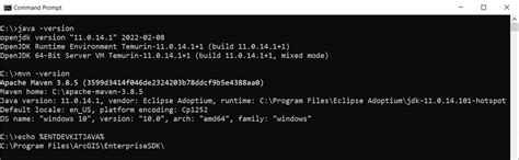 Install Java And Maven ArcGIS Enterprise SDK