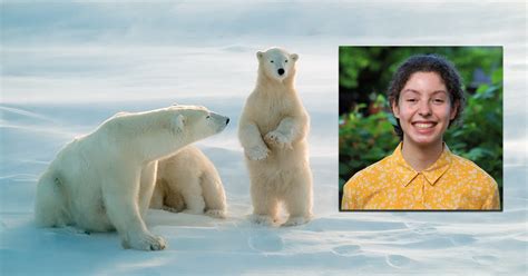 Meet Volunteer Writer Cassandra Dandrea The Fur Bearers