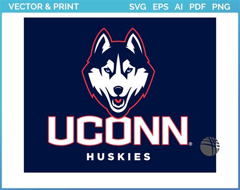 Uconn Logo Png
