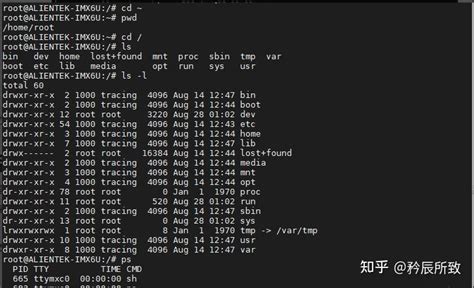 嵌入式 Linux 入门 环境篇(一、开发板初体验) 知乎 嵌入式 Linux 入门 环境篇(一、开发板初体验) 知乎