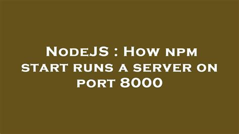 Nodejs How Npm Start Runs A Server On Port 8000 Youtube
