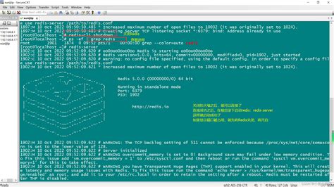 续1009vuejwtredis，token单点登录setsigningkey盐值 Csdn博客