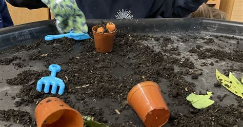 Science In Oak Class Plants Tor View School