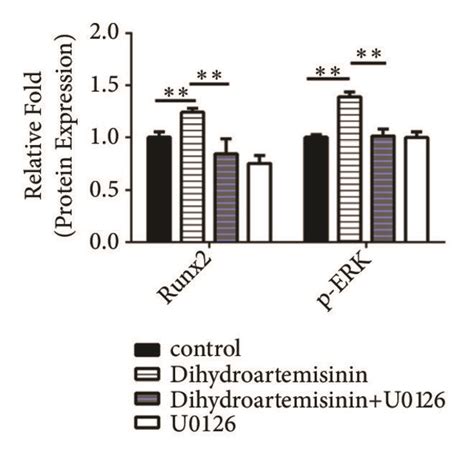A Human Mesenchymal Stem Cells Hmscs Were Cultured In Download
