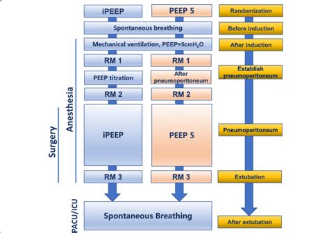 Individualized Peep And Perioperative Management Process Peep