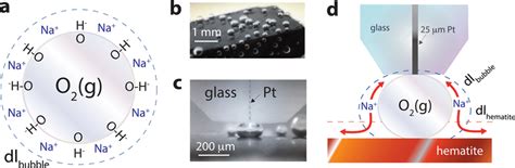 Electrochemically Produced And Measured O2g Microbubbles A Schematic