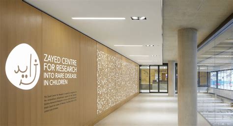 Zayed Centre For Research Waterstruck Bricks