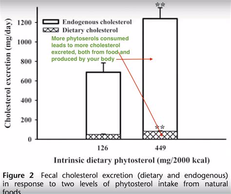 Why Your Ldl Cholesterol Particle Size Determines Your Heart Disease Risk And What To Do About