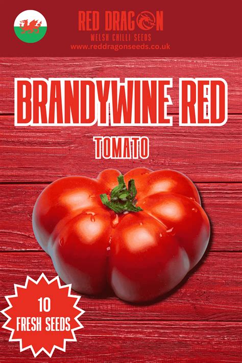 Brandywine Red Tomato Seeds 10 Fresh Tomato Seeds Red Dragon Seeds