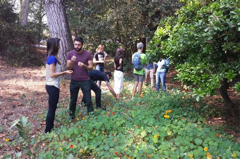 Ethical Considerations For Foraging Wild Plants — Book Wild Food Foraging Classes Online Foragesf