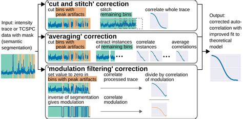 Imagej Quantification Fluorescence Measuring Cell