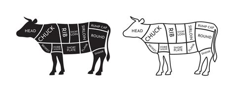 Veal Diagram Vector Art Icons And Graphics For Free Download