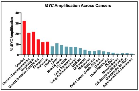 Myc Amplification Across Cancers Percentage Represents Number Of